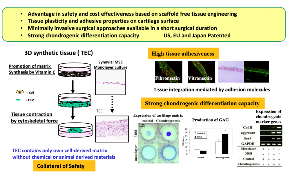 Phase III clinical trials for stem cell-based cartilage regeneration therapy have started ...