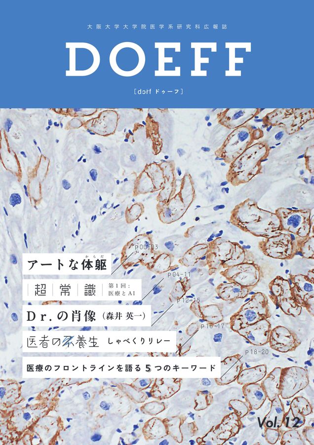 DOEFF vol12